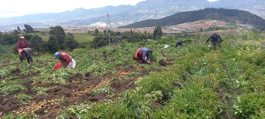 LixiLab: Purifying Water | The World Around | The World Around